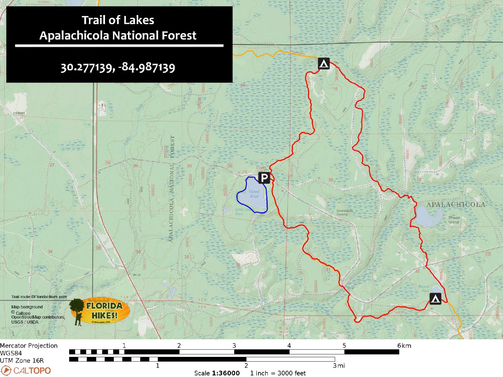 Trail of Lakes, Apalachicola National Forest – Florida Hikes