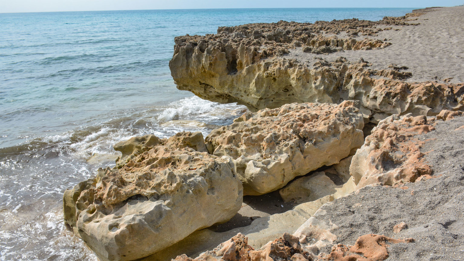 Blowing Rocks Preserve – Florida Hikes