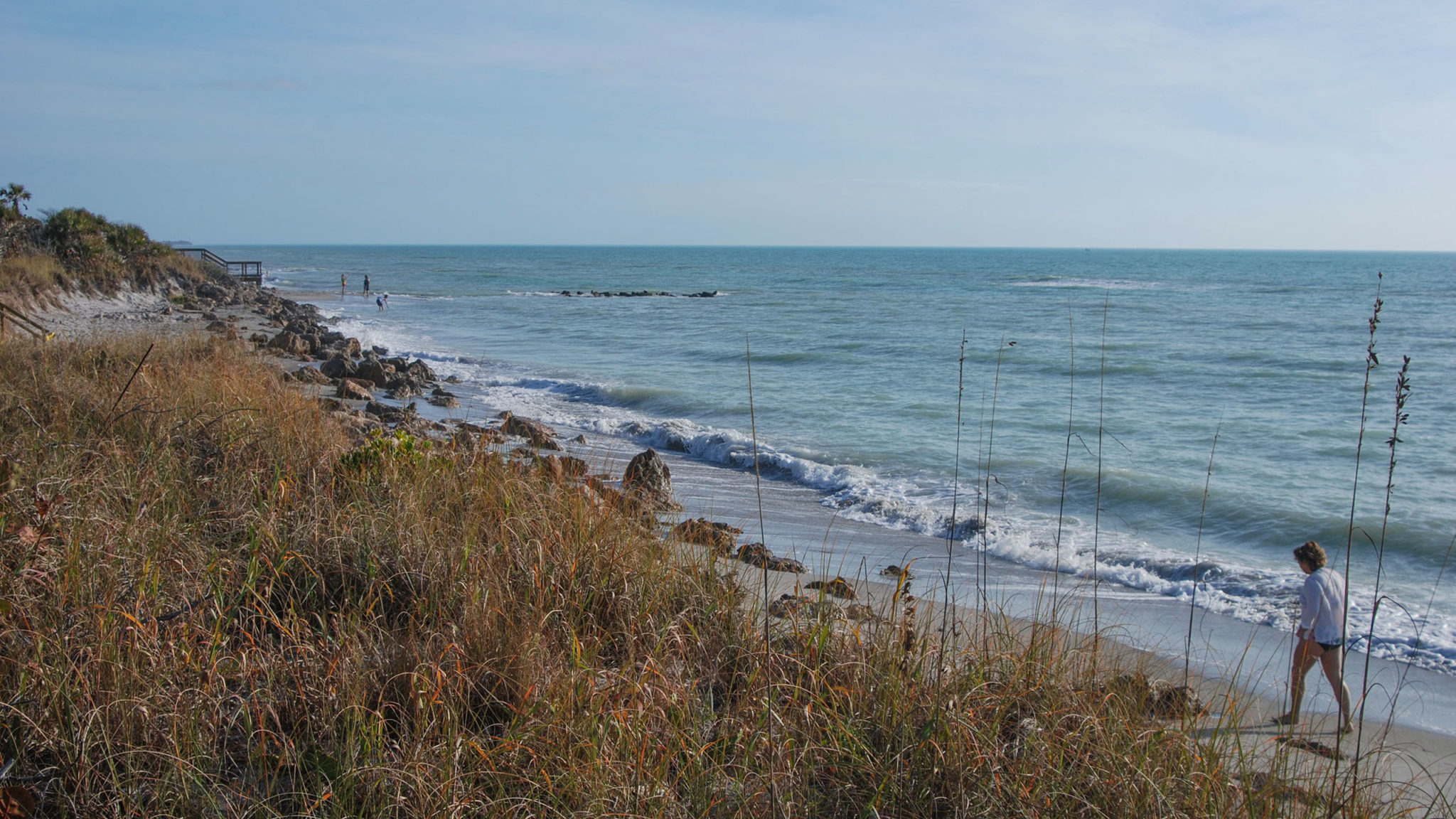 Shamrock Park | Venice Waterway – Florida Hikes