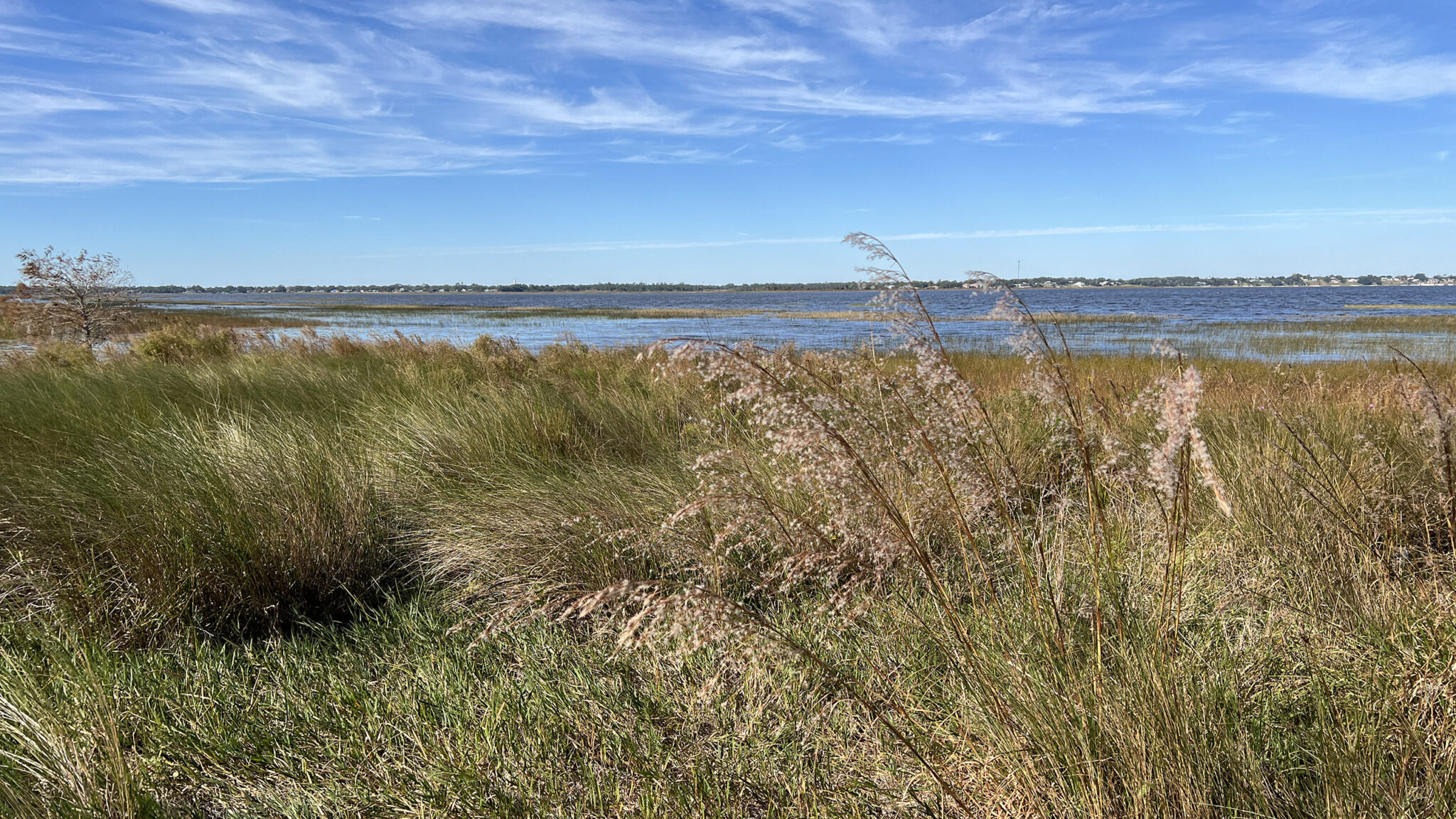 Hiking Lake Wales Ridge – Florida Hikes