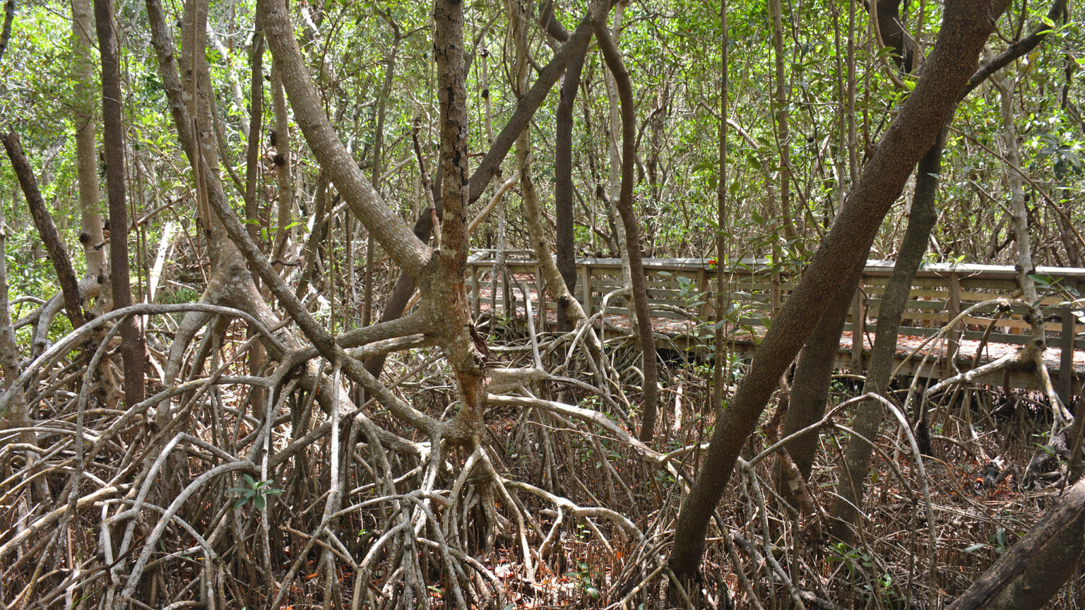 Christian Point Trail – Florida Hikes