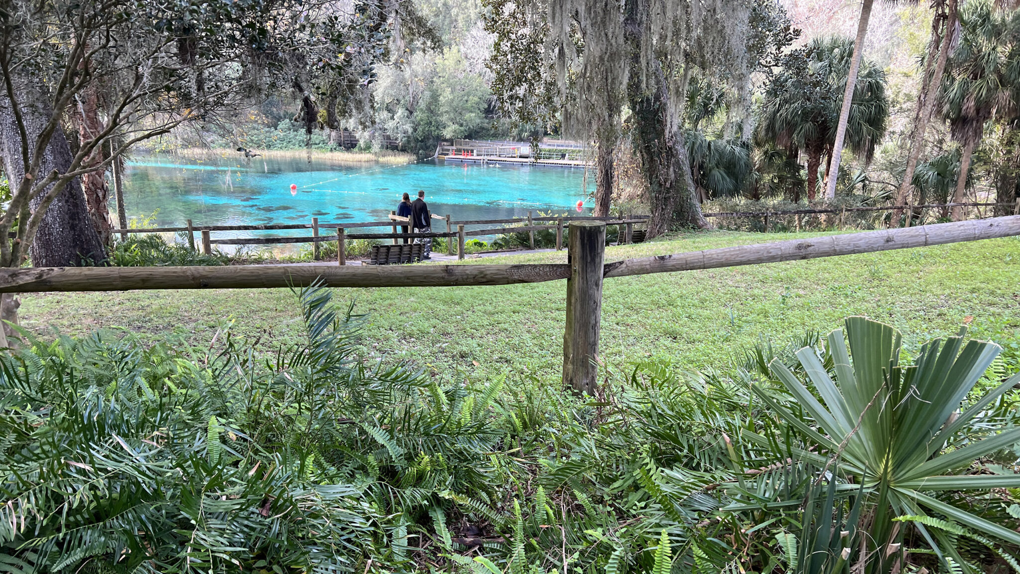 Rainbow Springs State Park – Florida Hikes