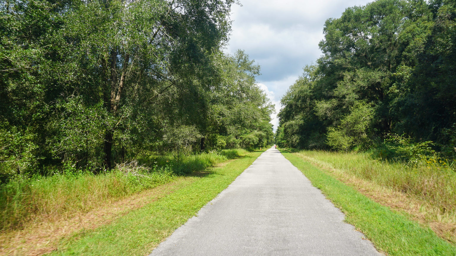 Withlacoochee State Forest Trails – Florida Hikes