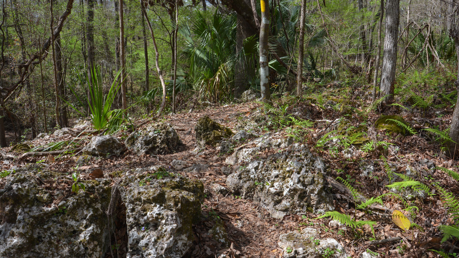 Backpacking in Florida – Florida Hikes