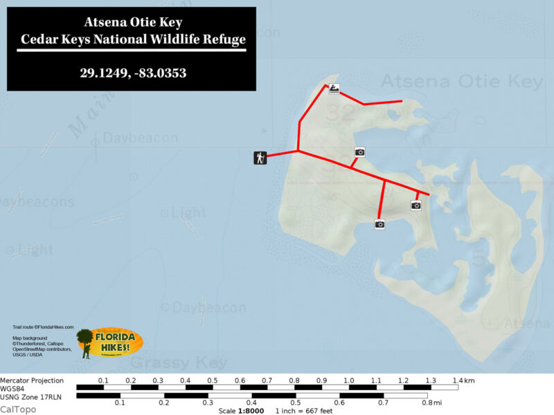 Atsena Otie Key, Cedar Keys National Wildlife Refuge – Florida Hikes