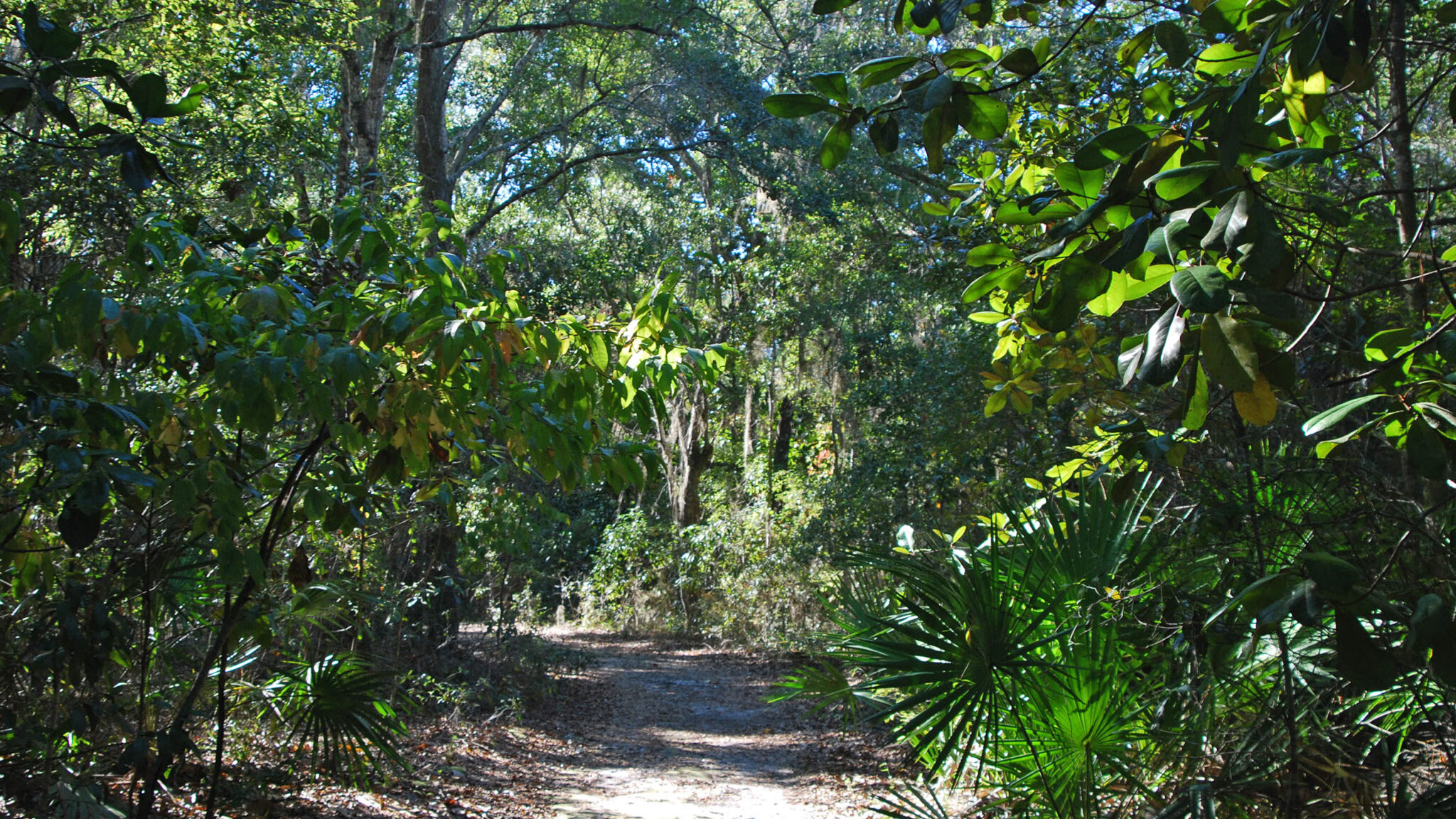 Hiking Panama City Beach | Florida Hikes