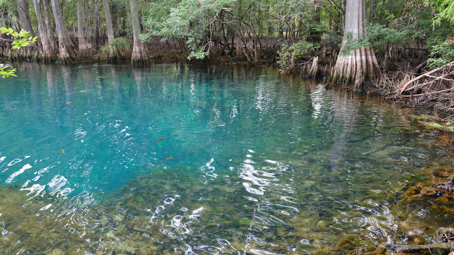 Map of Florida Springs – Florida Hikes