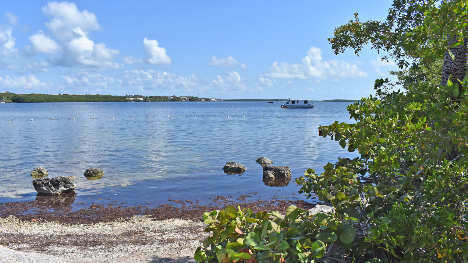 Pennekamp State Park – Florida Hikes