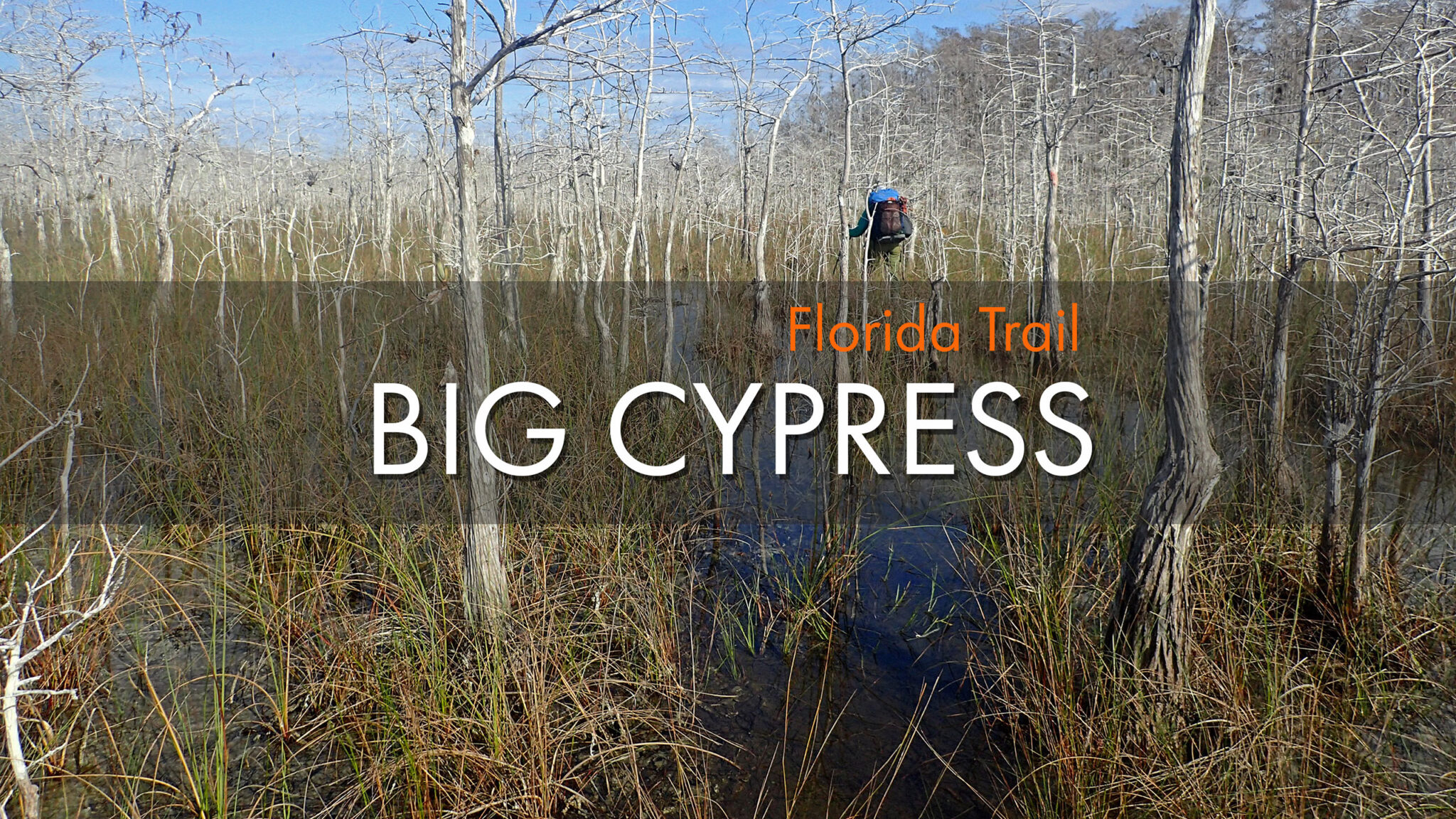 Florida Trail, Big Cypress North – Florida Hikes