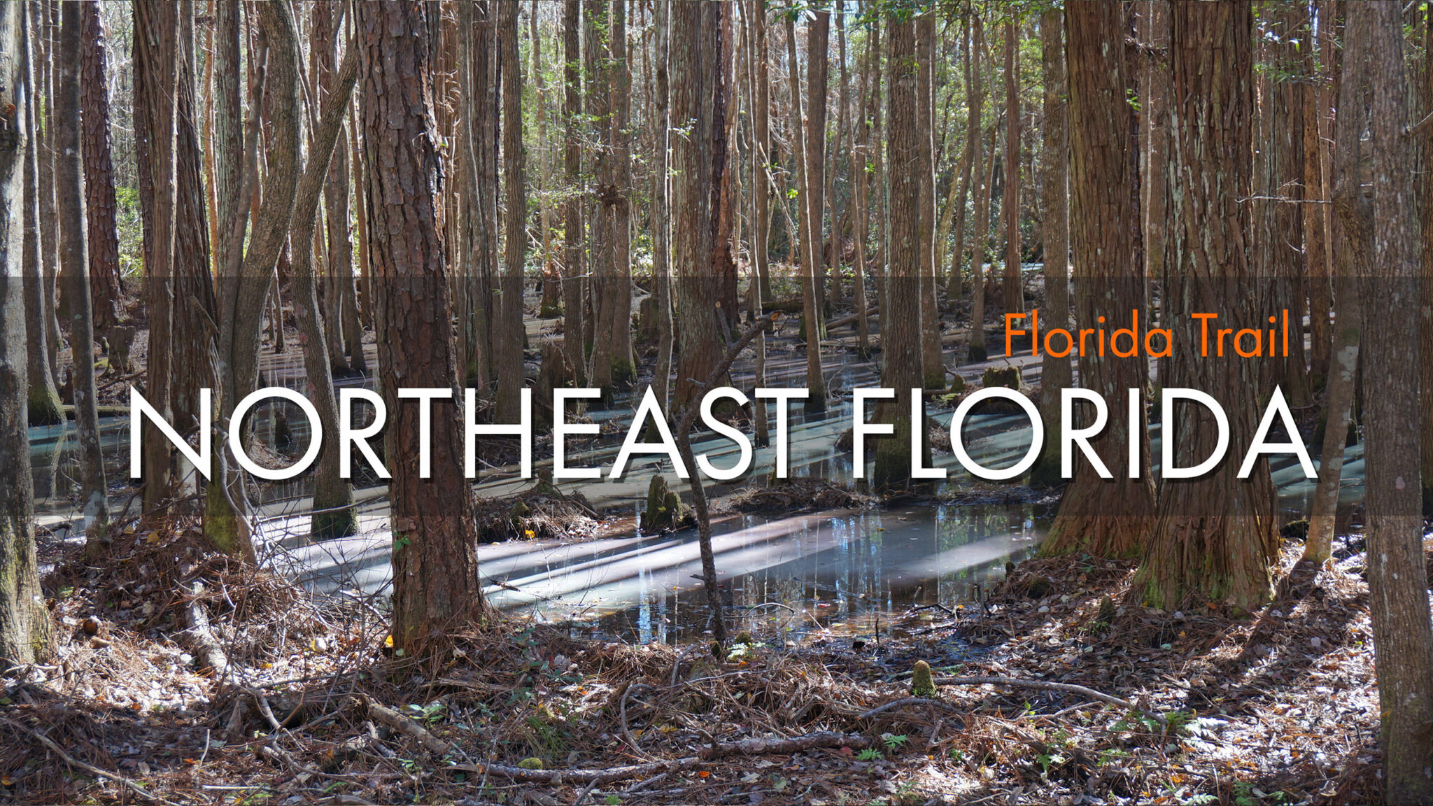 Hiking Lake Butler – Florida Hikes