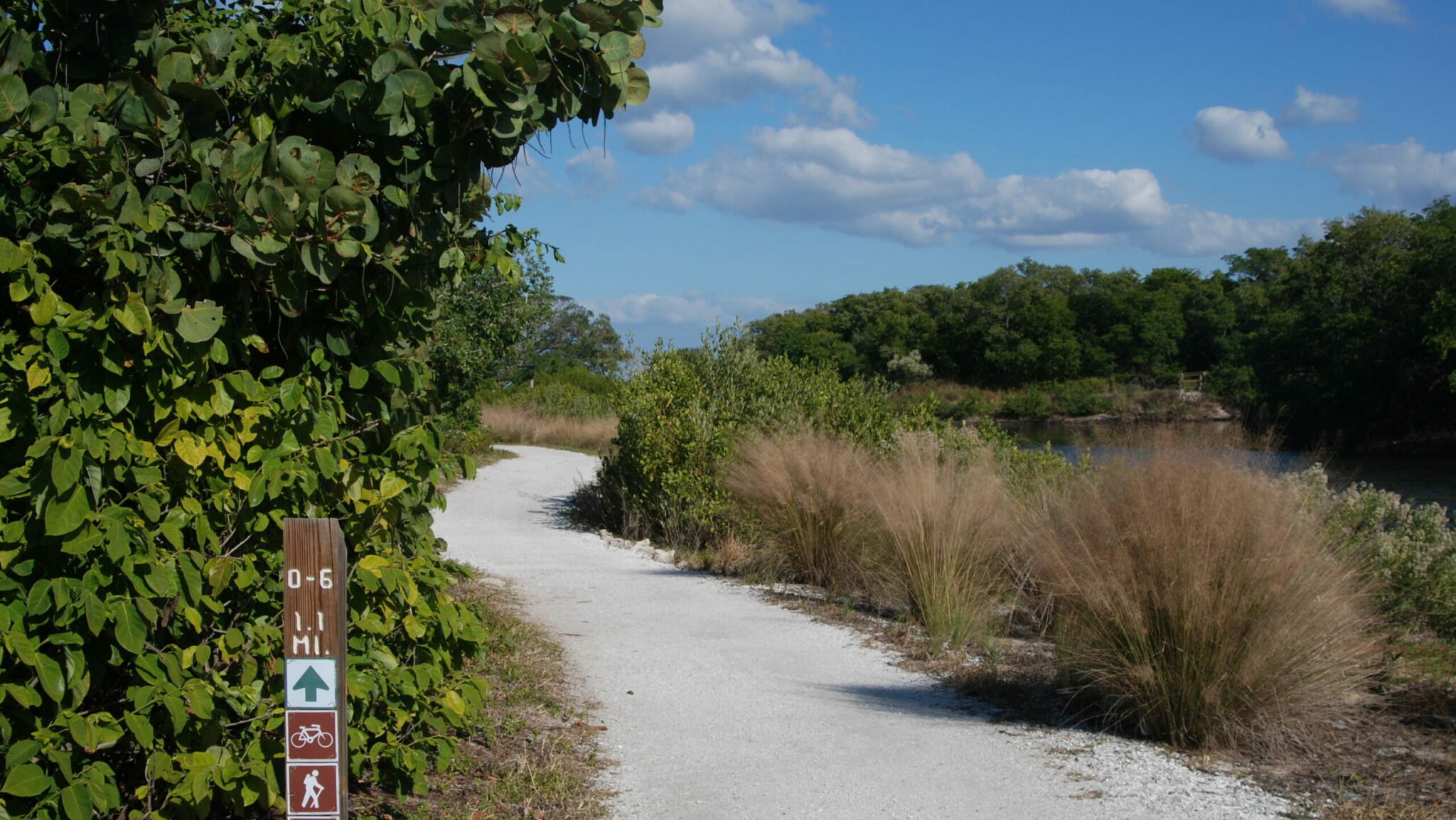 Loop Trails in Florida – Florida Hikes