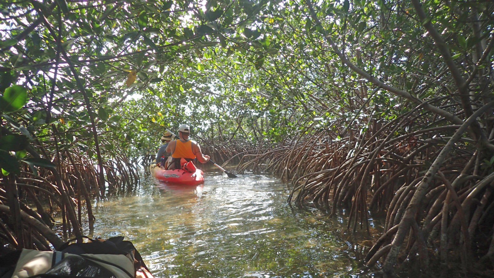 Florida Paddling Trails Map – Florida Hikes