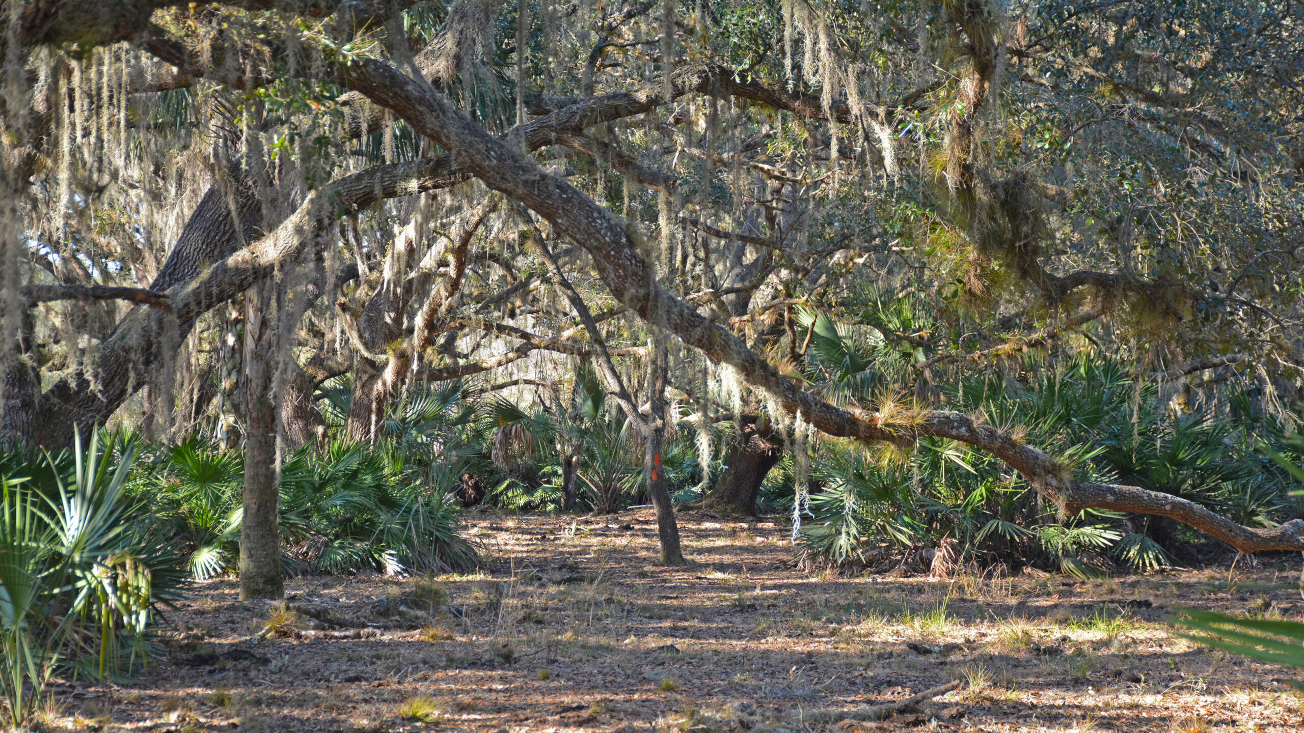 Florida Trail Maps | Florida Hikes