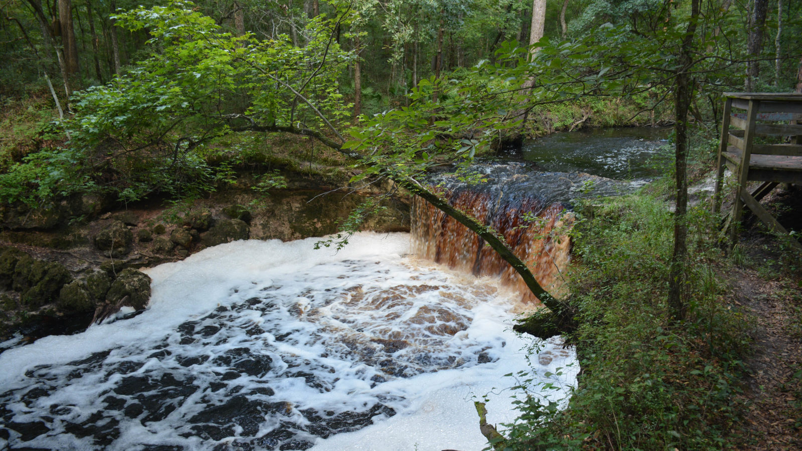 Falling Creek Falls – Florida Hikes