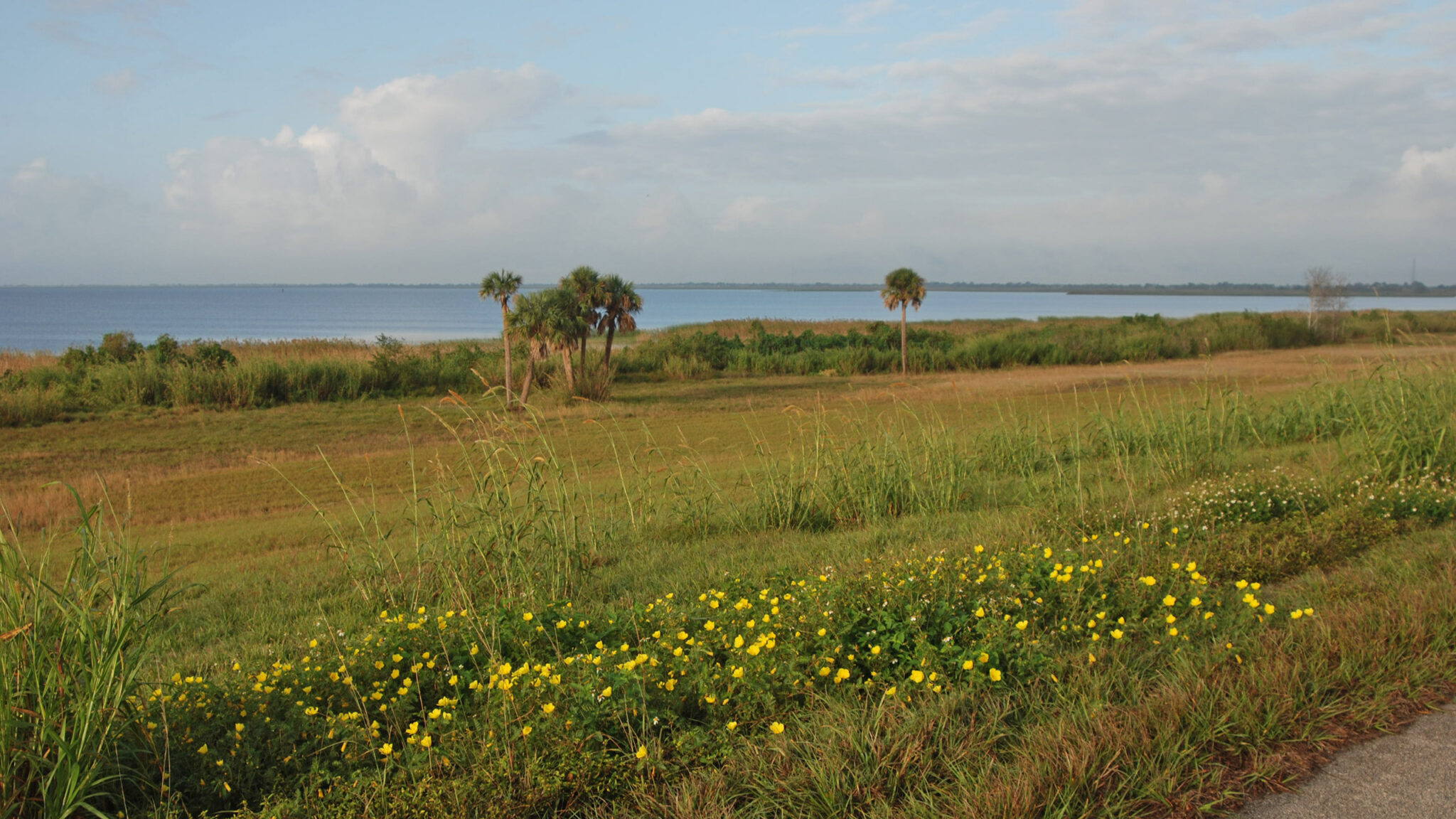 Hiking Lake Okeechobee – Florida Hikes