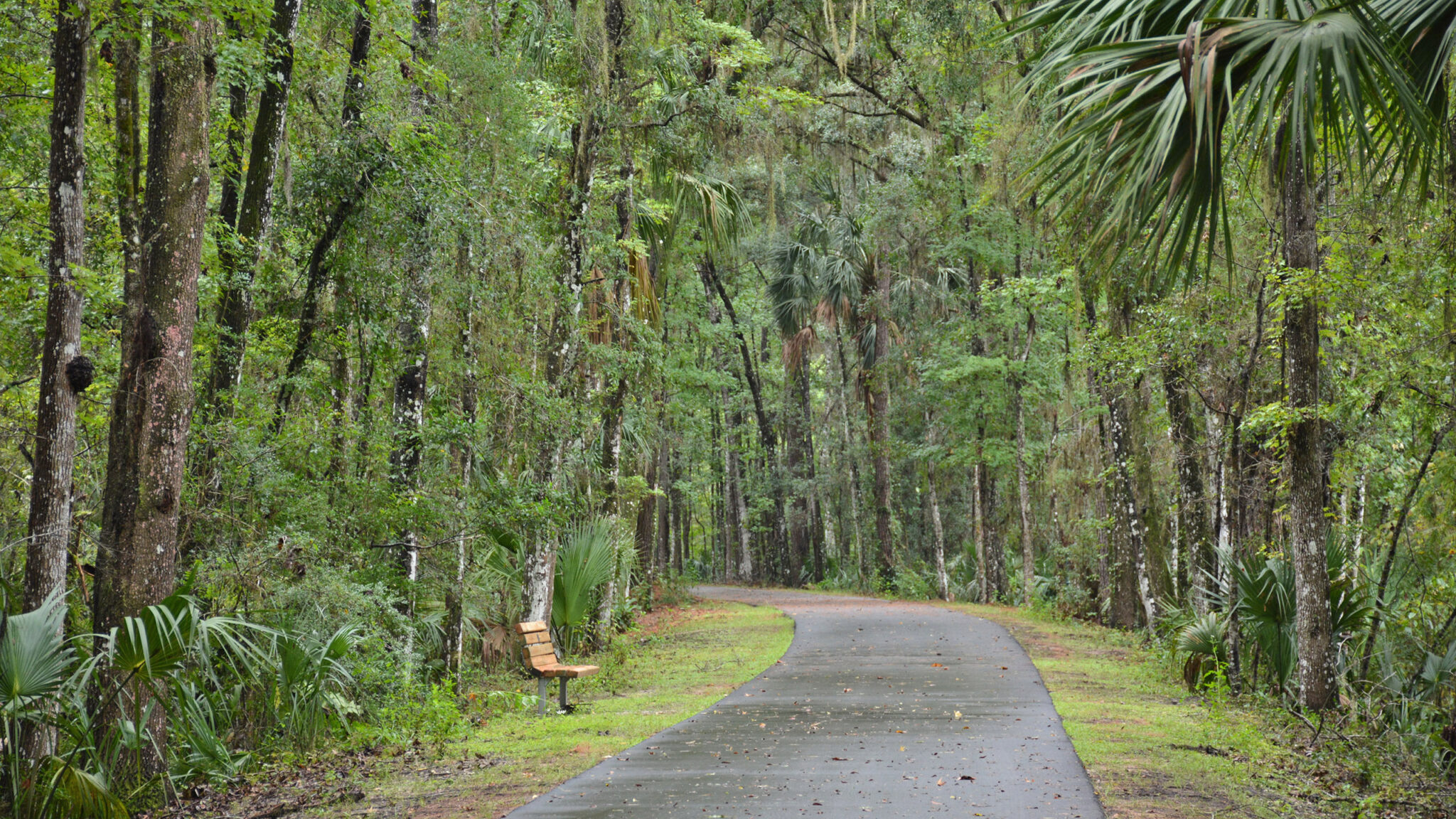 Florida Trail, Cross Florida Greenway – Florida Hikes
