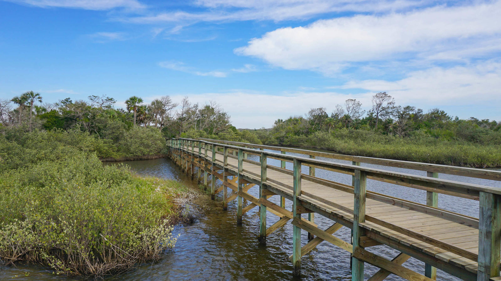 Graham Swamp Preserve – Florida Hikes