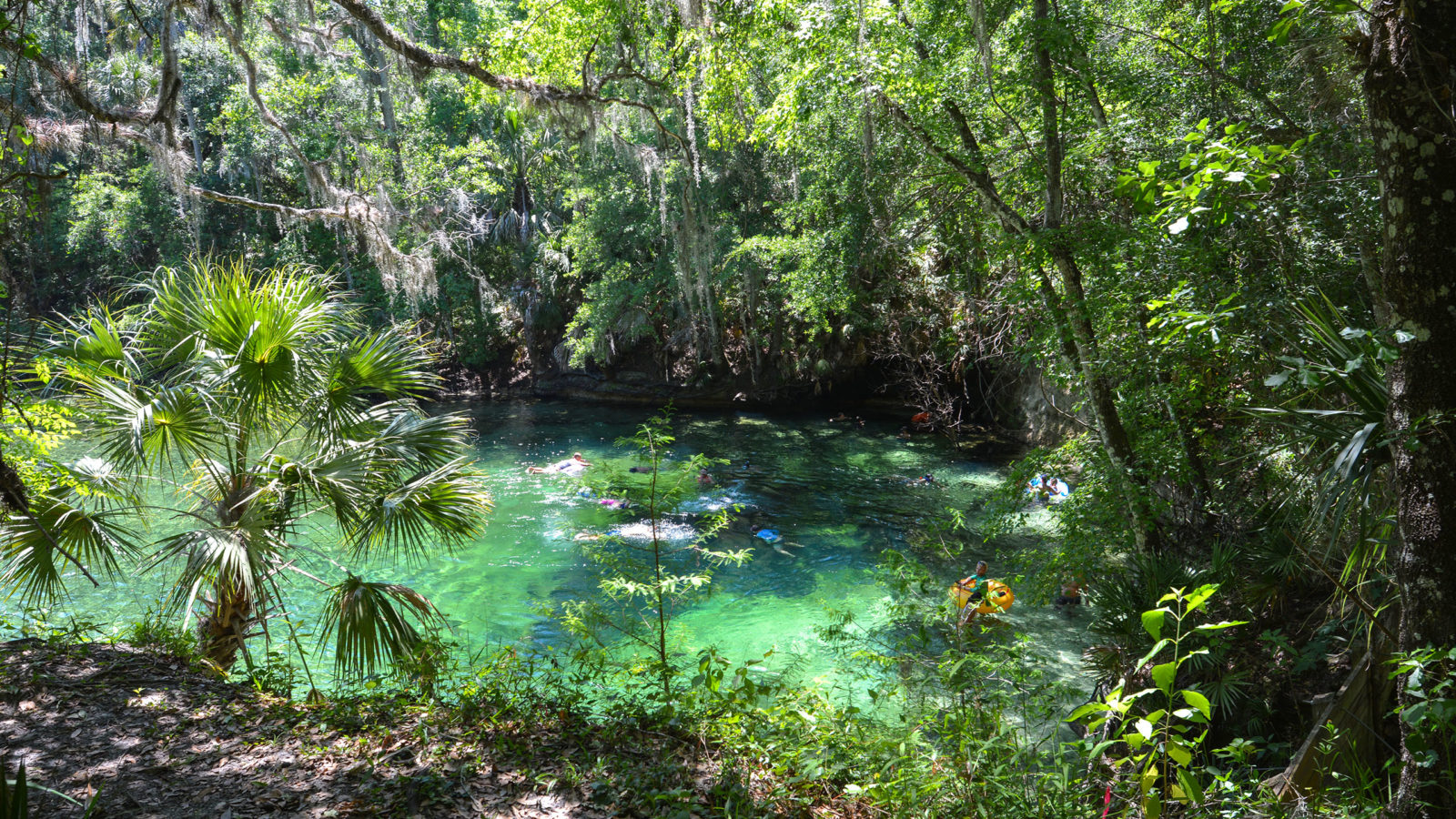 Blue Spring Boardwalk – Florida Hikes
