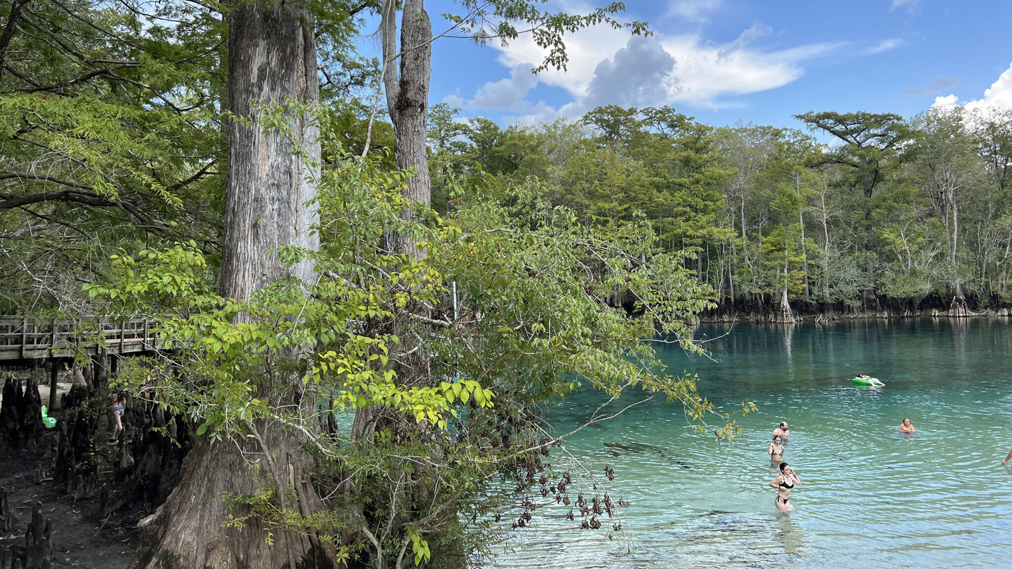 Vortex Spring – Florida Hikes