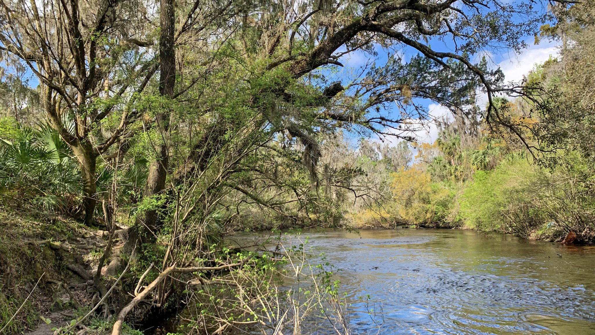 FishHawk Creek Preserve | Lithia Springs – Florida Hikes