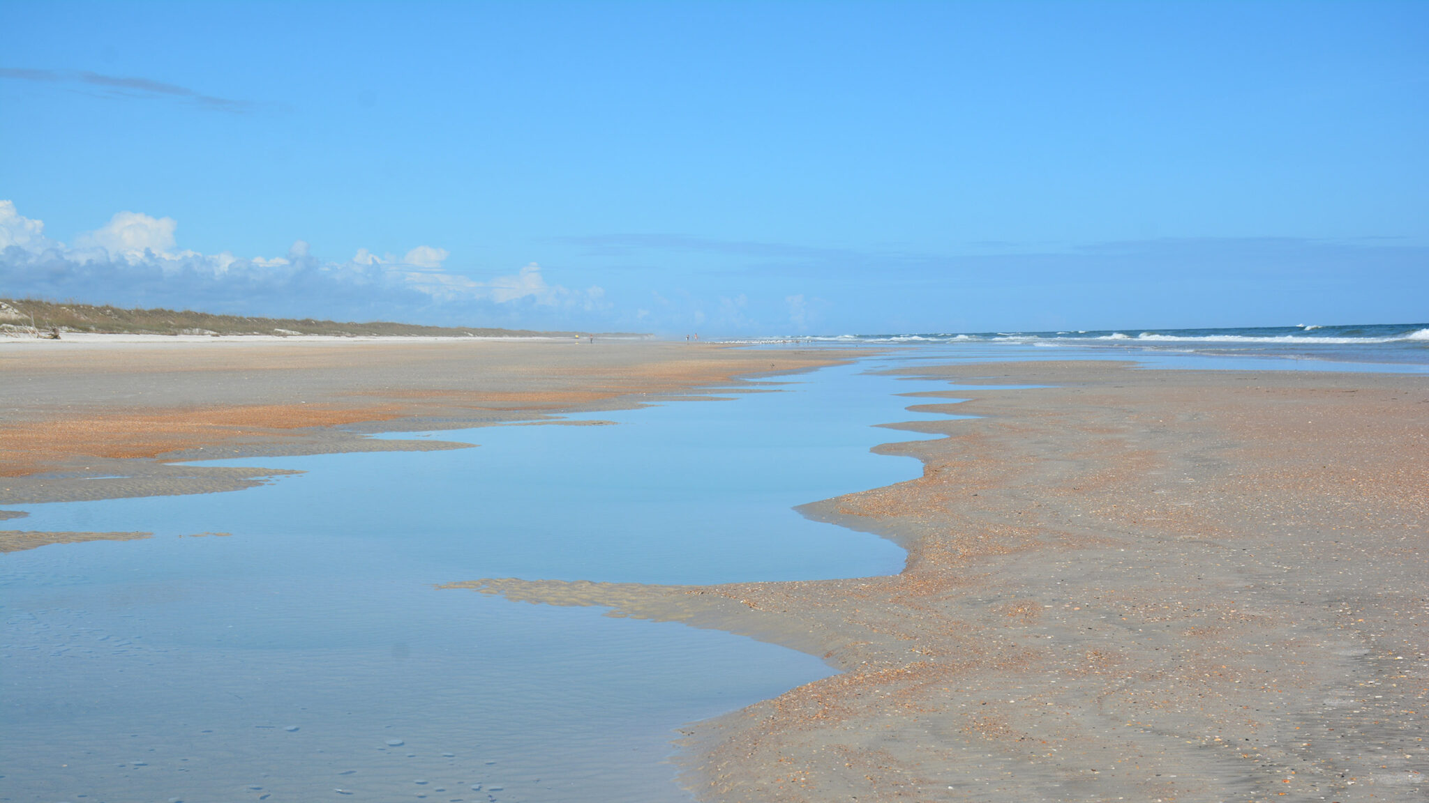 Hiking St. Augustine – Florida Hikes