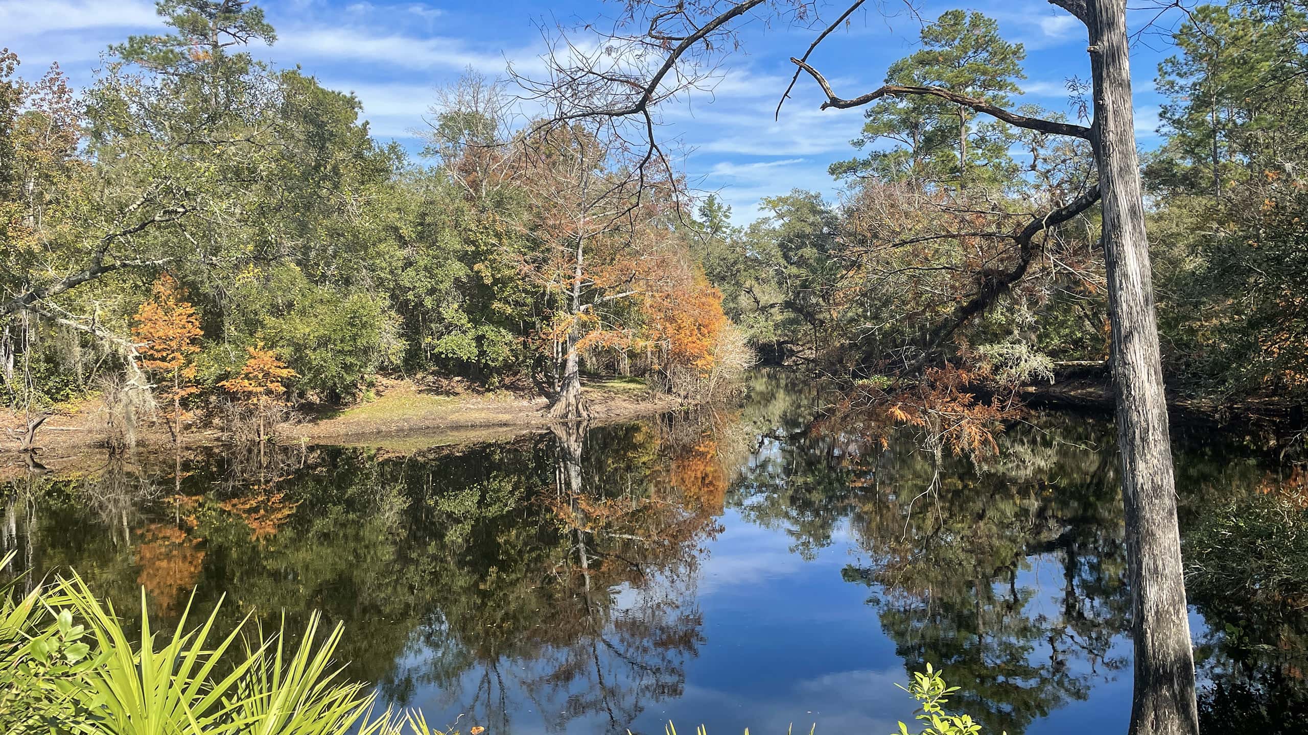 Withlacoochee River | hiking biking paddling – Florida Hikes