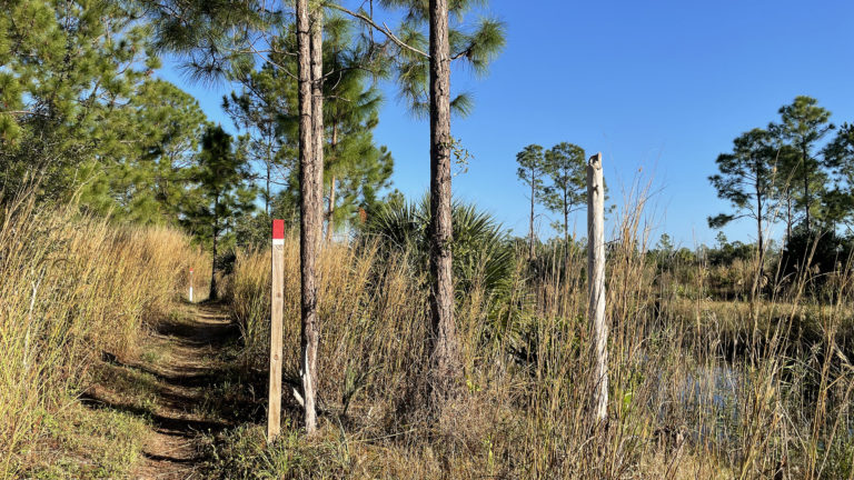 CREW Marsh Trails, CREW Land and Water Trust – Florida Hikes