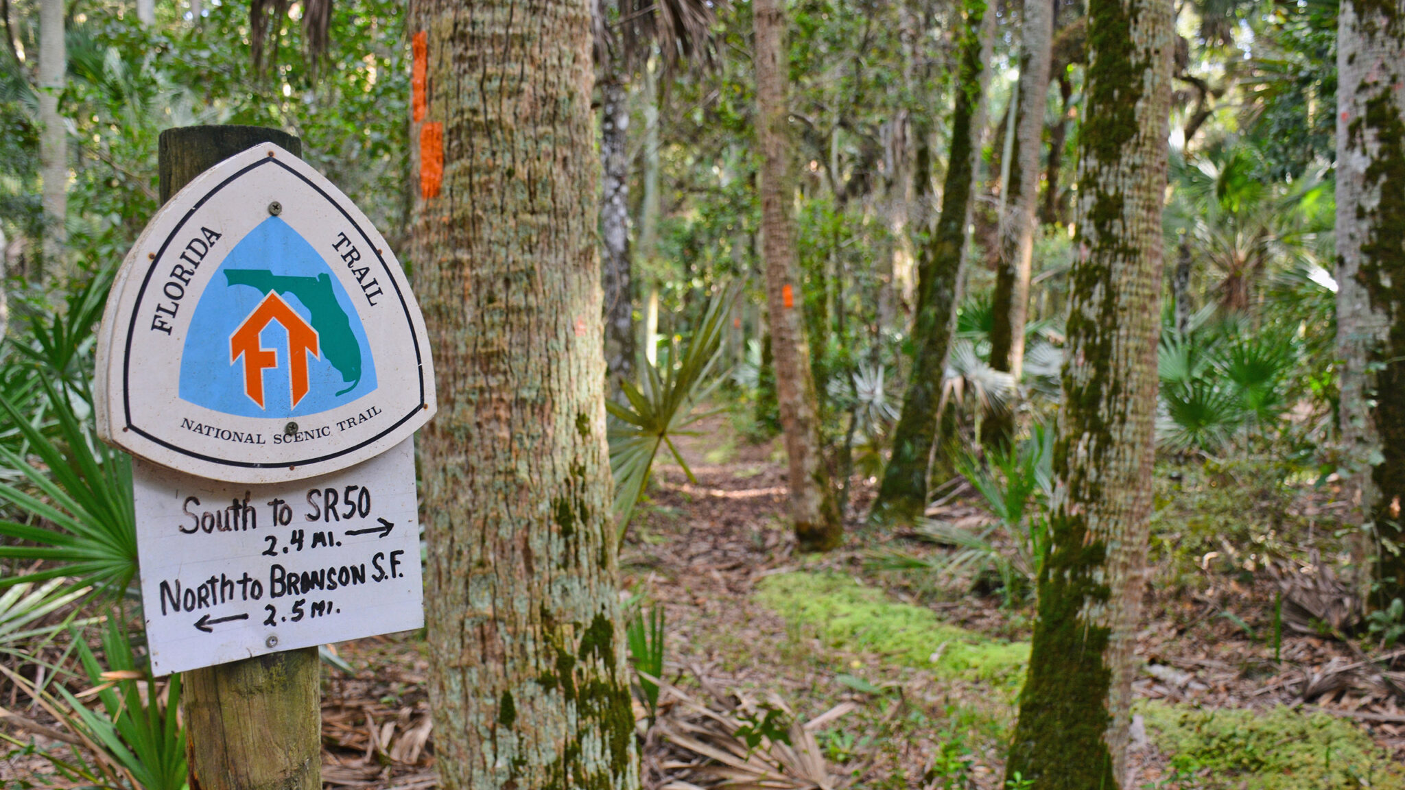 Florida Hiking Trails Map – Florida Hikes