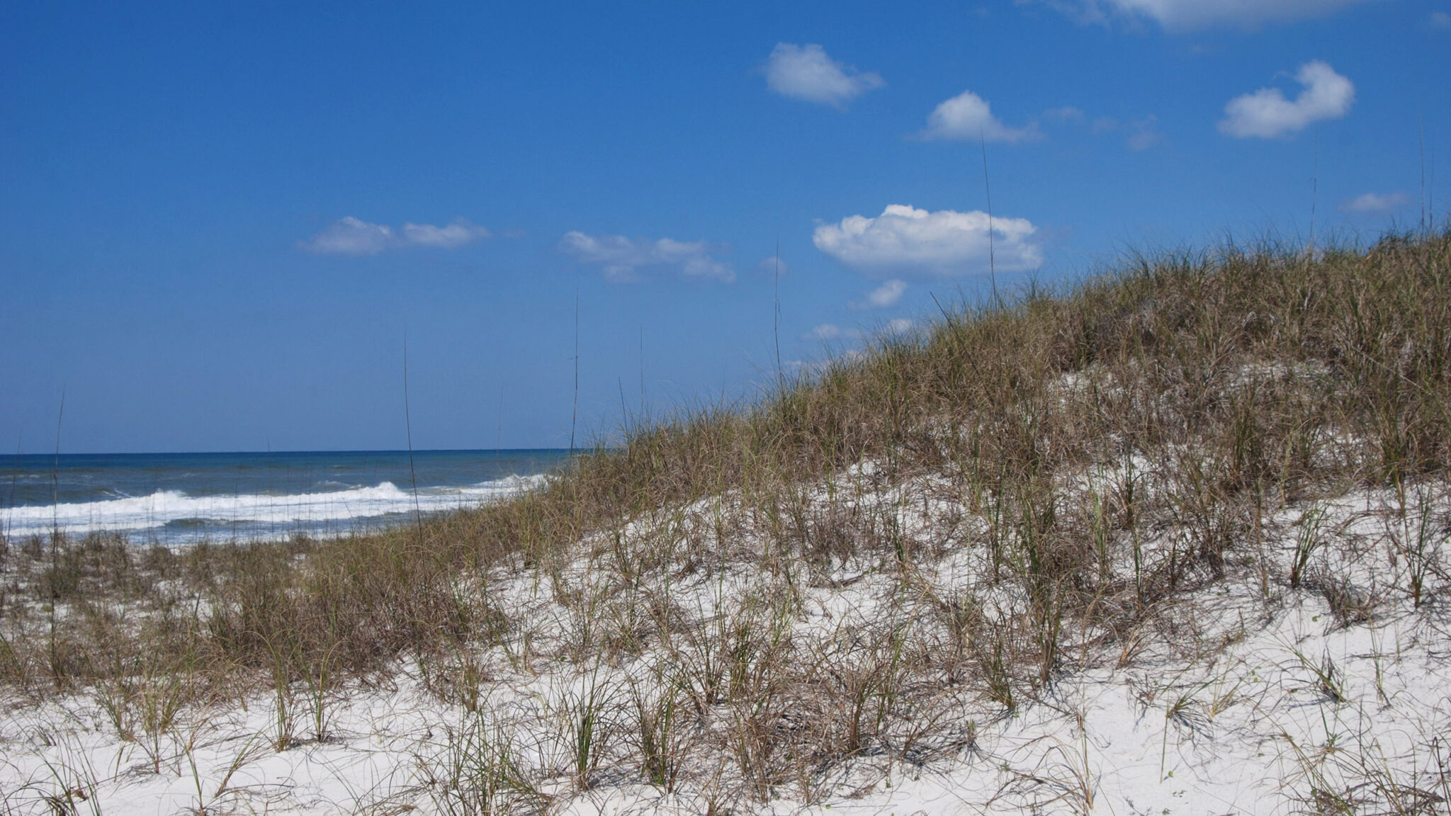 St. Andrews State Park – Florida Hikes