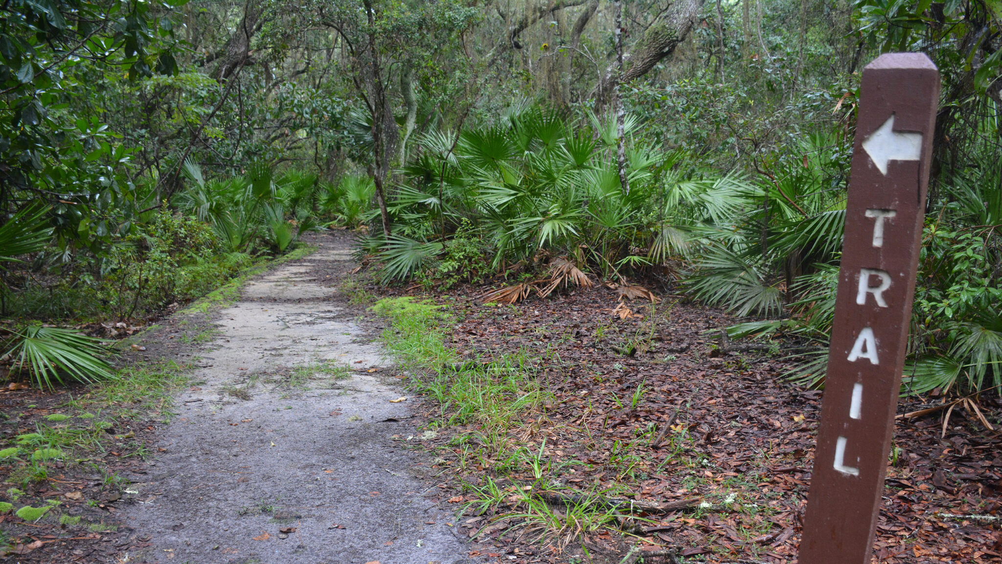 Florida Hiking Trails Map – Florida Hikes