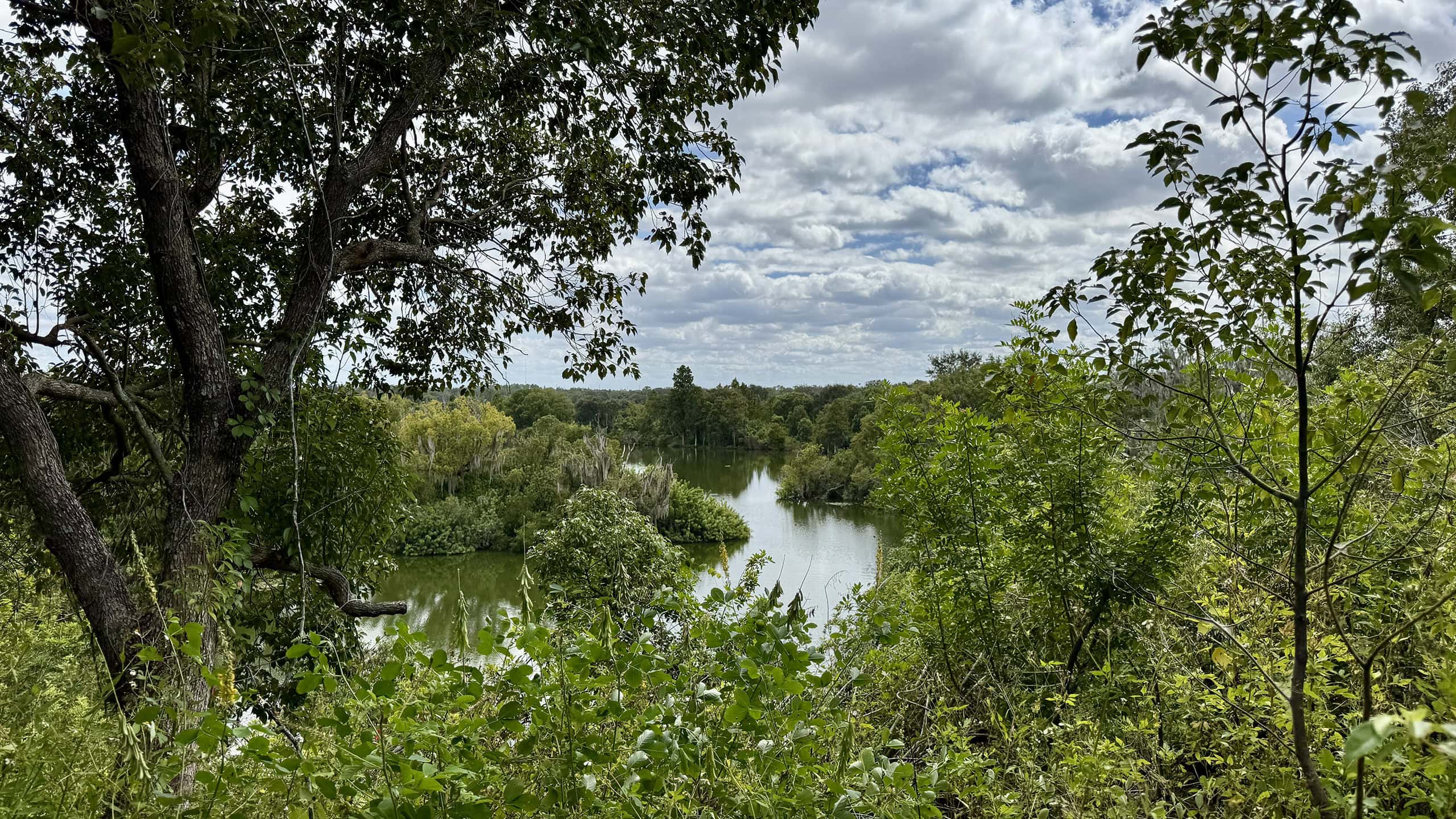 Lake Seminole Park | St Petersburg – Florida Hikes