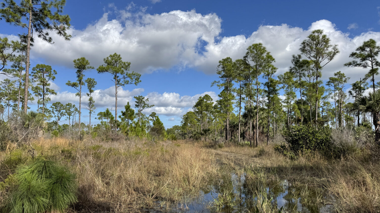Hungryland Slough Natural Area – Florida Hikes