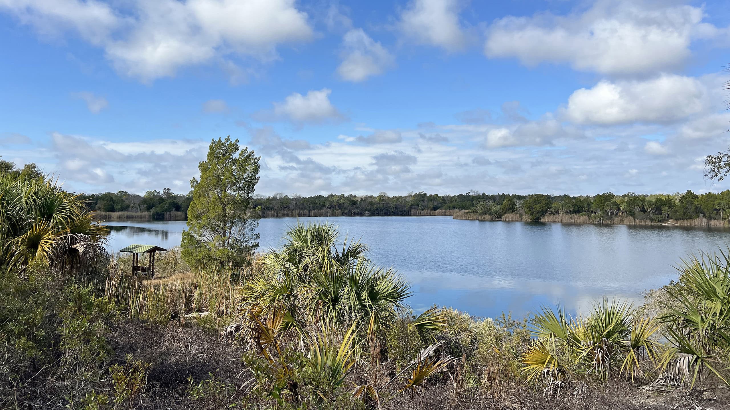 Phils Lake Trail, Felburn Park – Florida Hikes